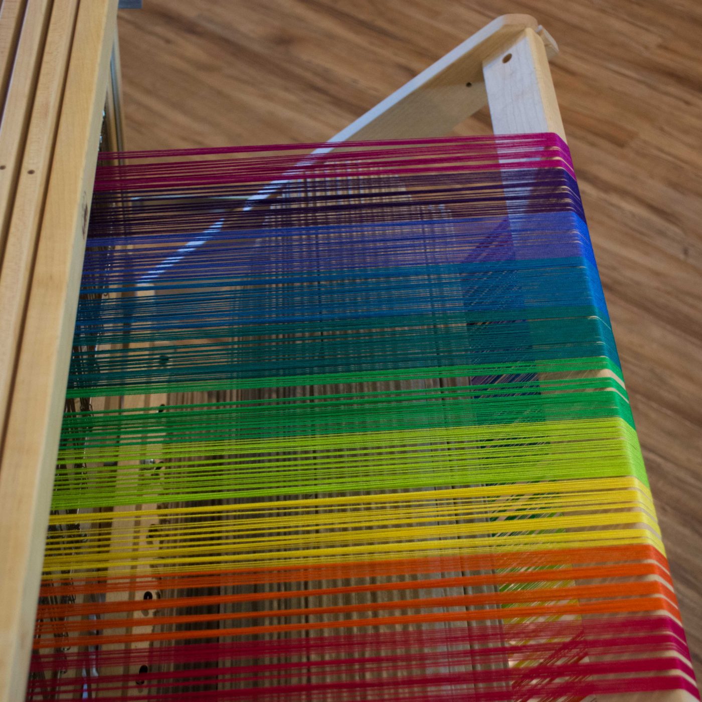 10 Color Petite Gamp Kit - Lunatic Fringe Yarns